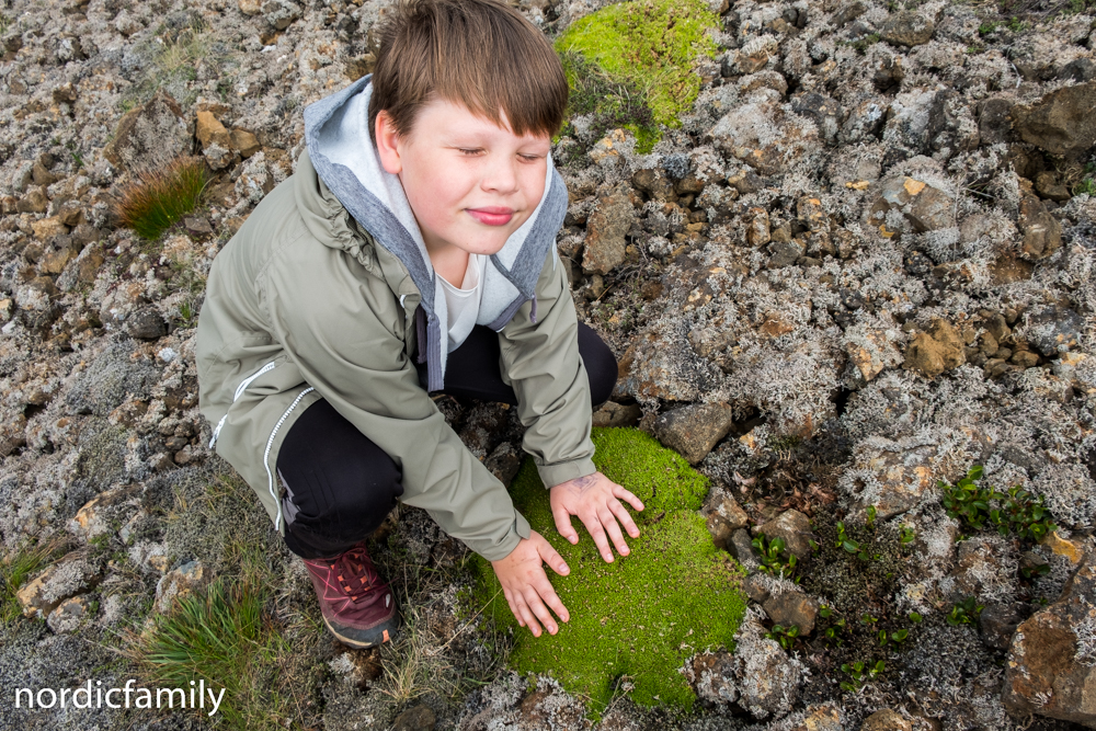 reykjanes_Vulkan_blog_-5474 - Nordicfamily